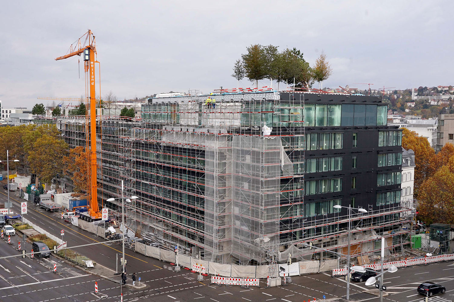 Fotogalerie: Miniwald auf dem Dach der Calwer Passage - STUGGI.TV