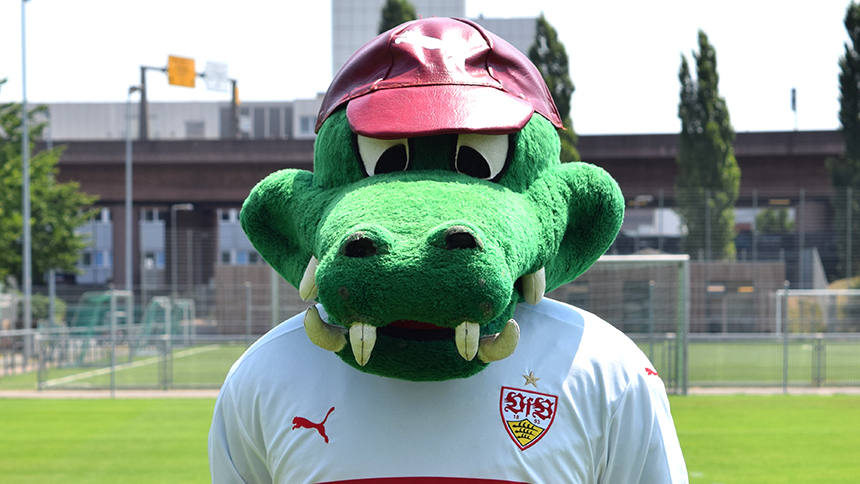 Fritzle_92_Maskottchen_VfB - STUGGI.TV