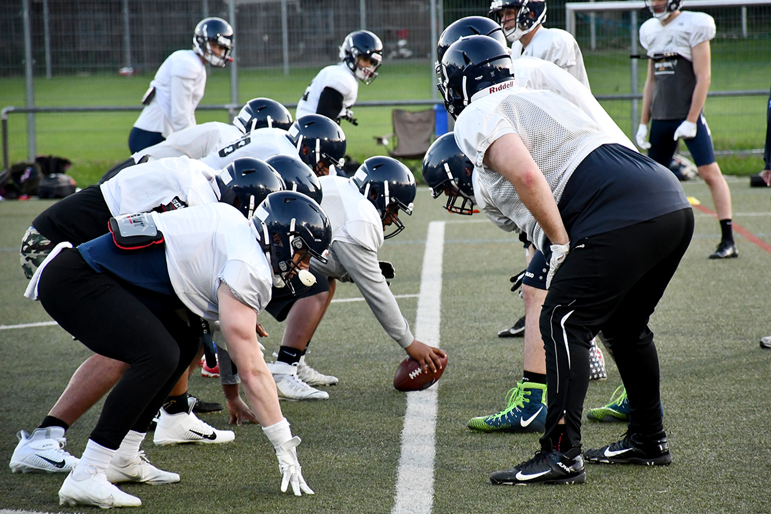 Neue Saison startet: Die Stuttgart Surge in der finalen Vorbereitung ...