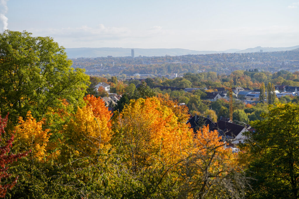 Stuttgart entdecken: 11 Tipps für einen Ausflug im Herbst - STUGGI.TV
